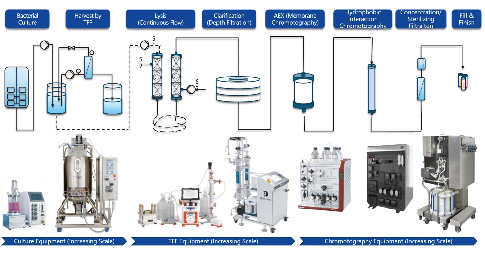 GMP Plasmid Manufacturing | uBriGene