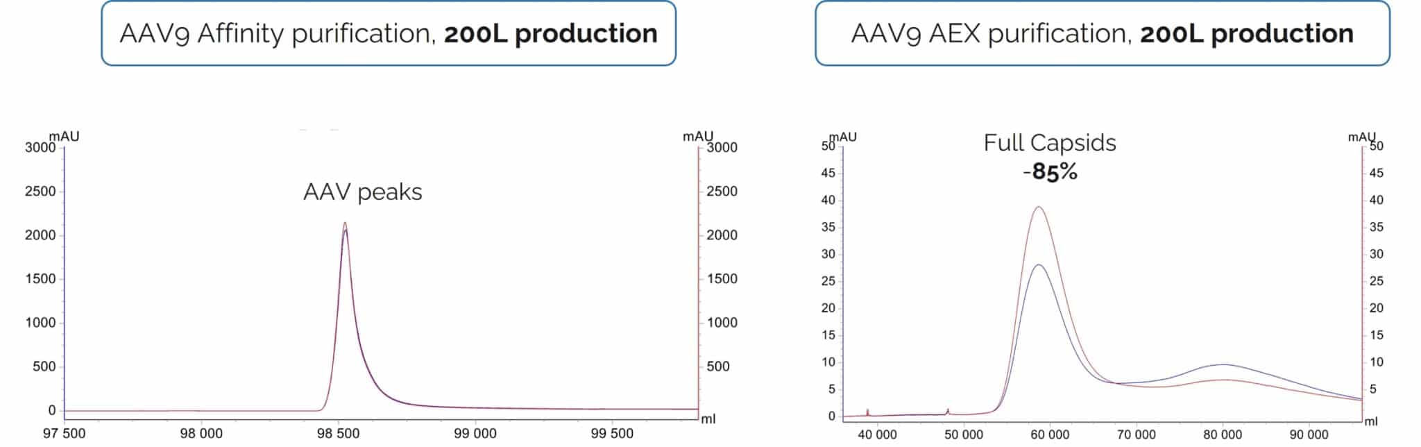 AAV GMP Manufacturing | uBriGene