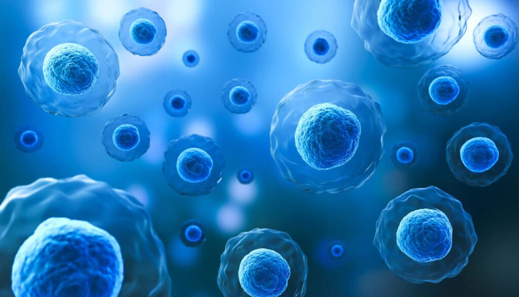 GMP MSC & iPSC Manufacturing | uBriGene